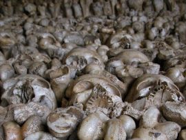 Human Bones | Scary Story | Scary For Kids