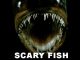 Scary Fish | Scary For Kids